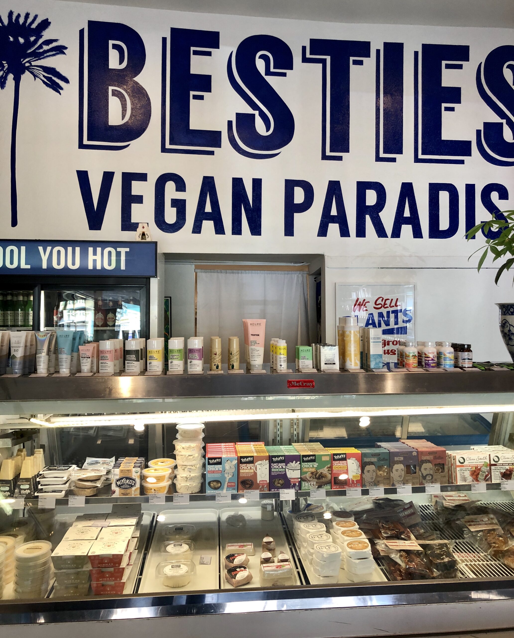 10 Questions for a Vegan – Besties Founders Matt Fontana & Asia Rain ...